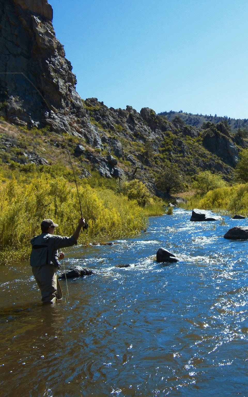 Insider's Guide to Fort Collins, Colorado - 5280 Magazine